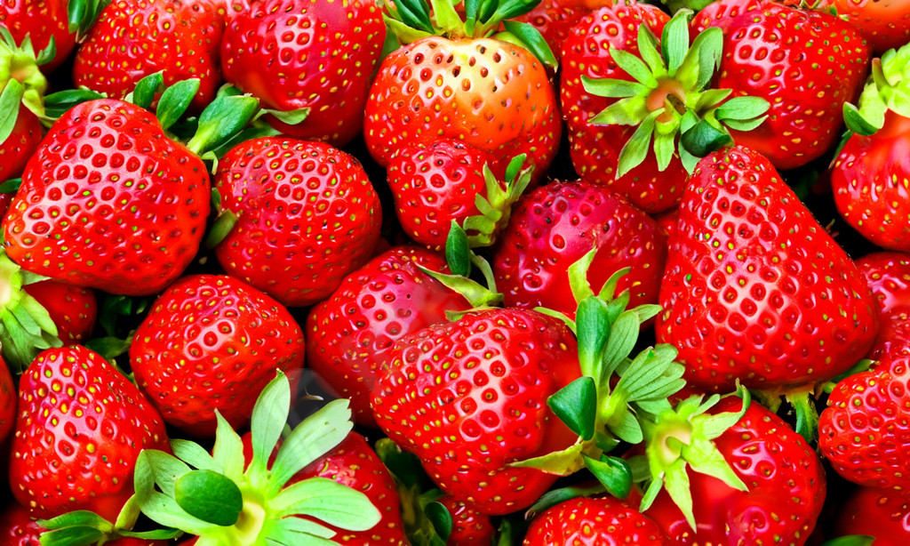 Your Free Stock Photo Haven - strawberry